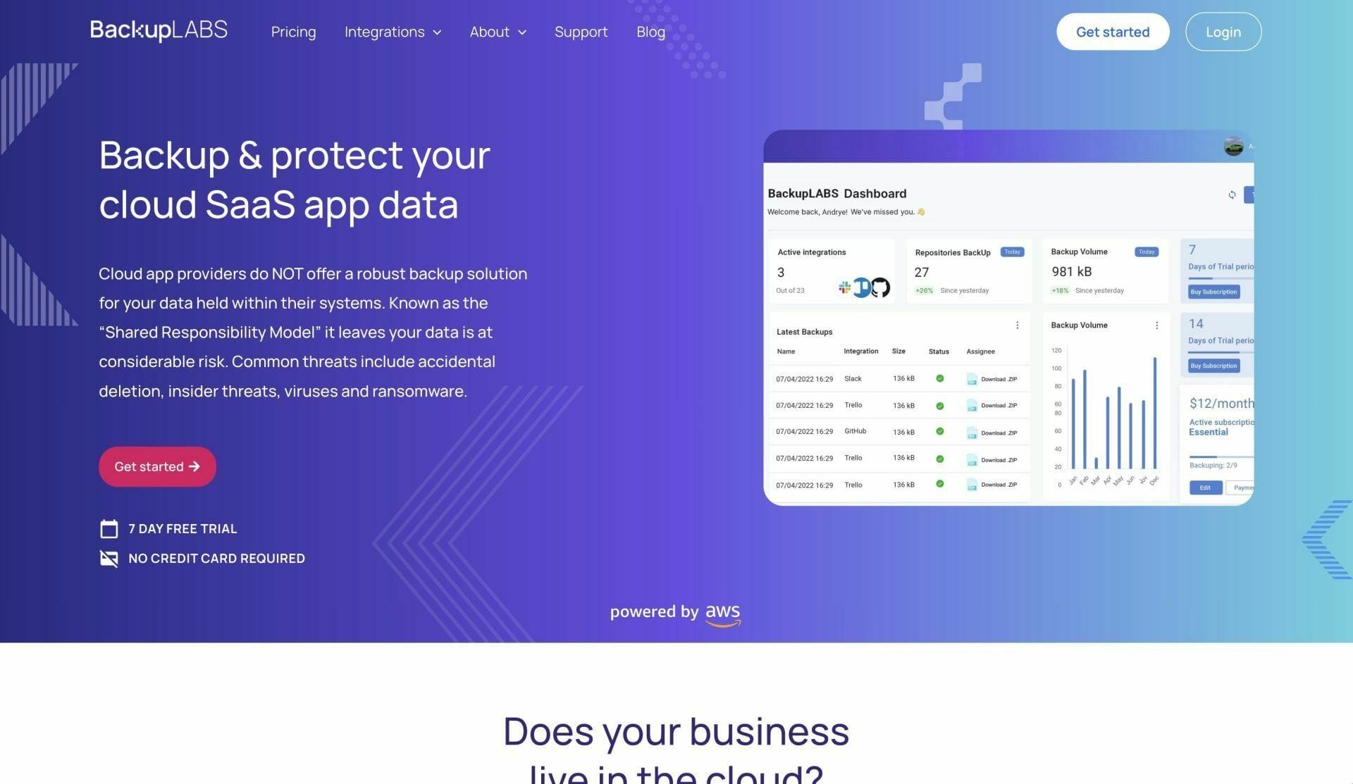 BackupLABS - Ben Rich